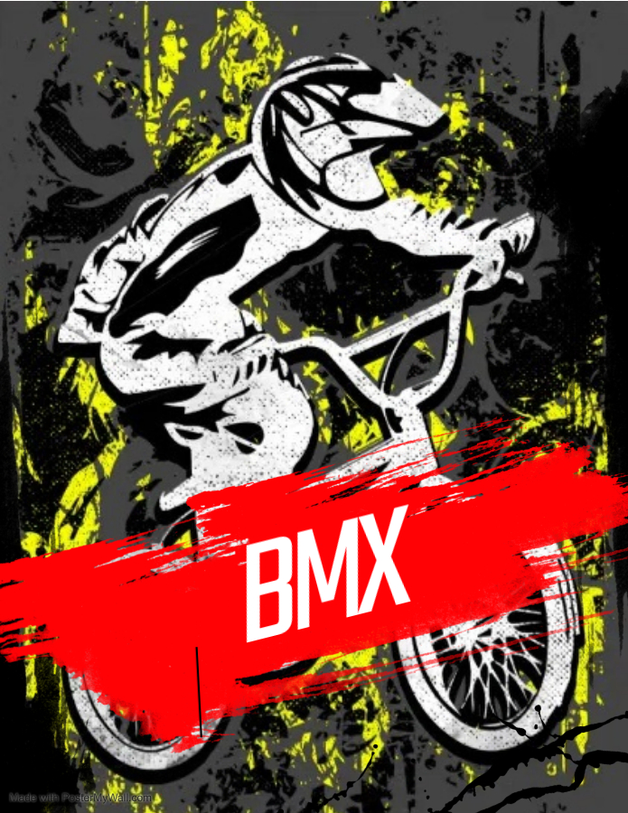 Creation Skatepark - Creation Skatepark BIRMINGHAM